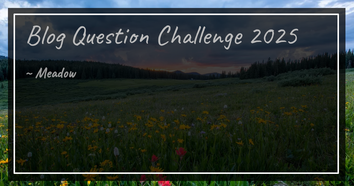 Blog Question Challenge 2025 | Meadow