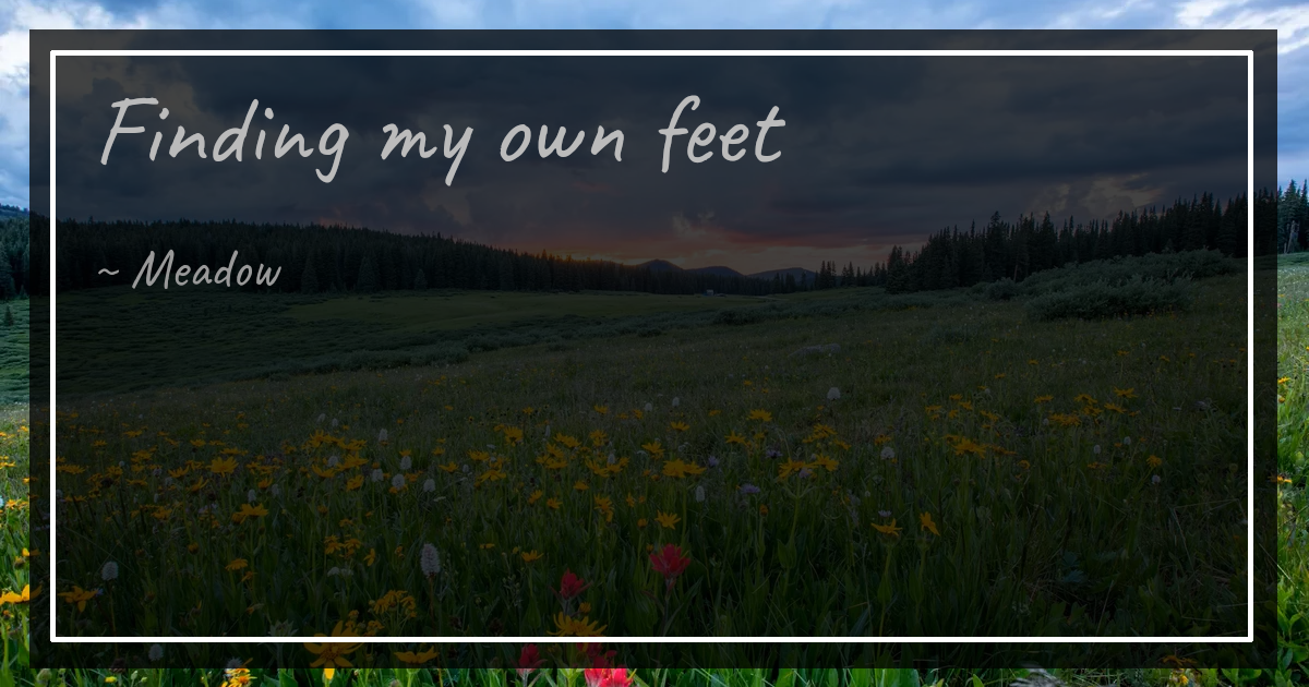 Finding my own feet | Meadow
