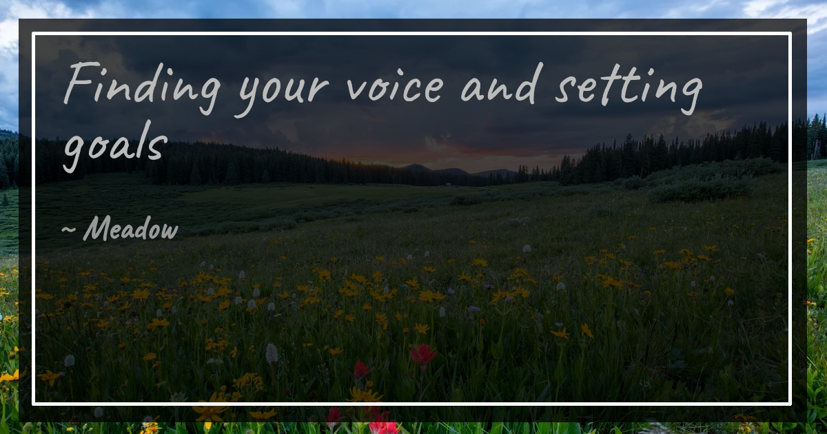 Finding your voice and setting goals | Meadow