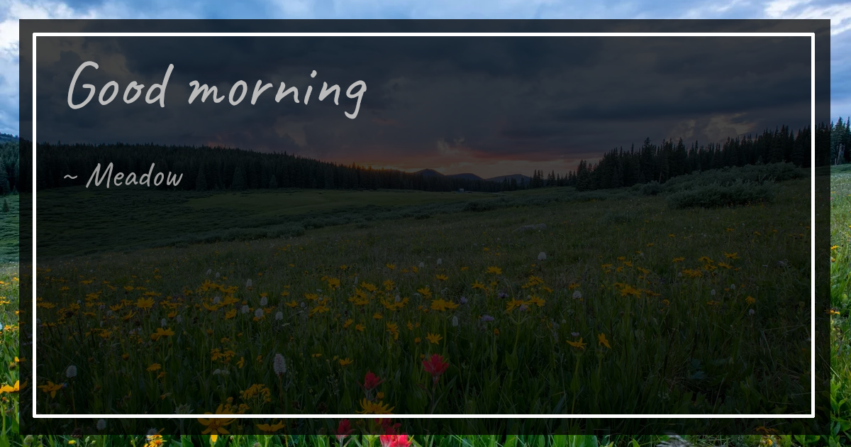 Good morning | Meadow