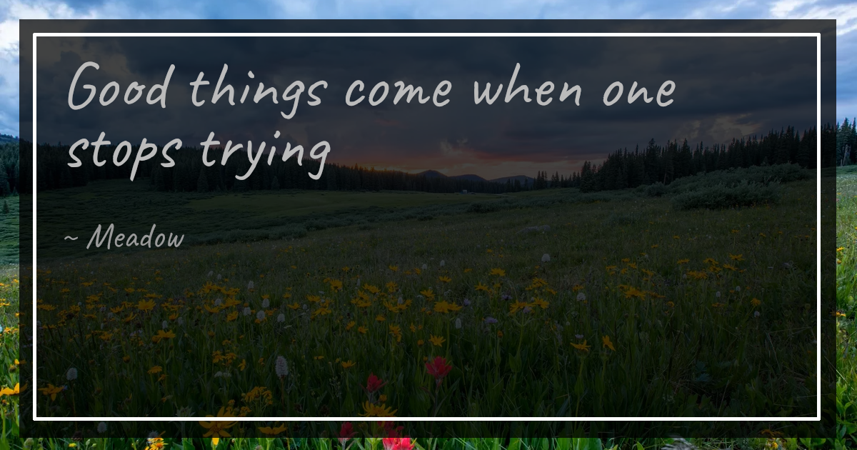 Good things come when one stops trying | Meadow