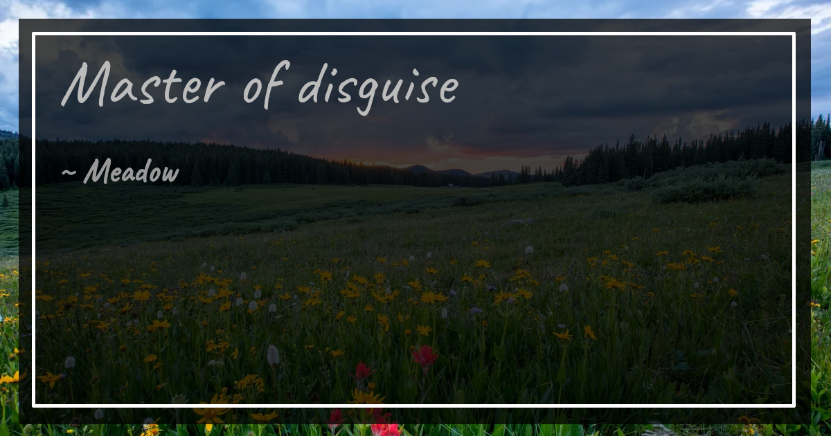 Master of disguise | Meadow