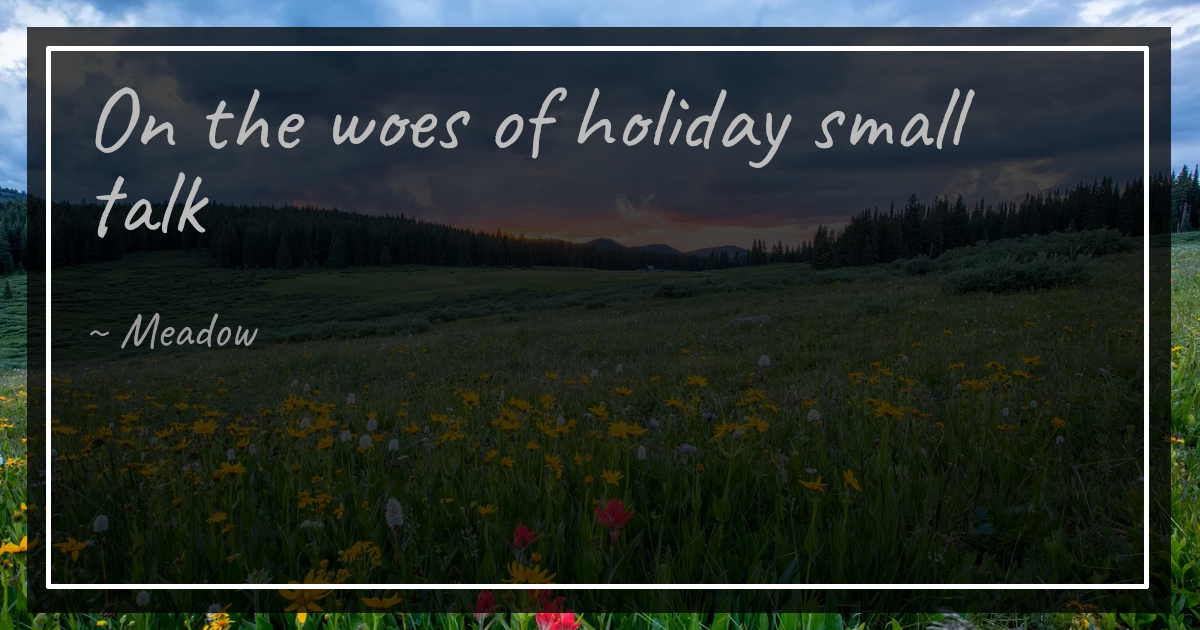 On the woes of holiday small talk | Meadow