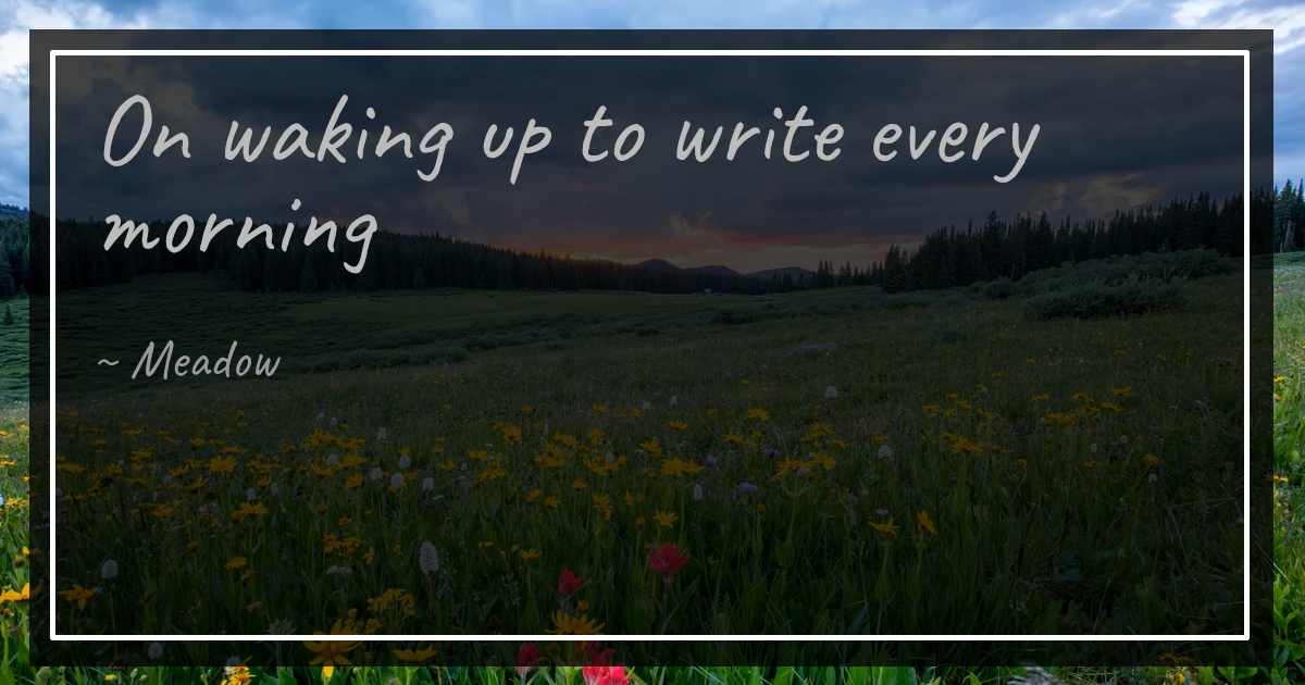 On waking up to write every morning | Meadow