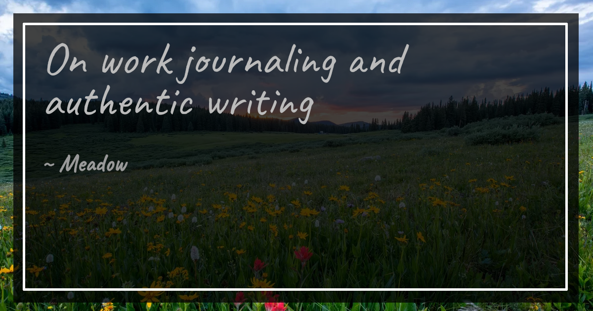 On work journaling and authentic writing | Meadow