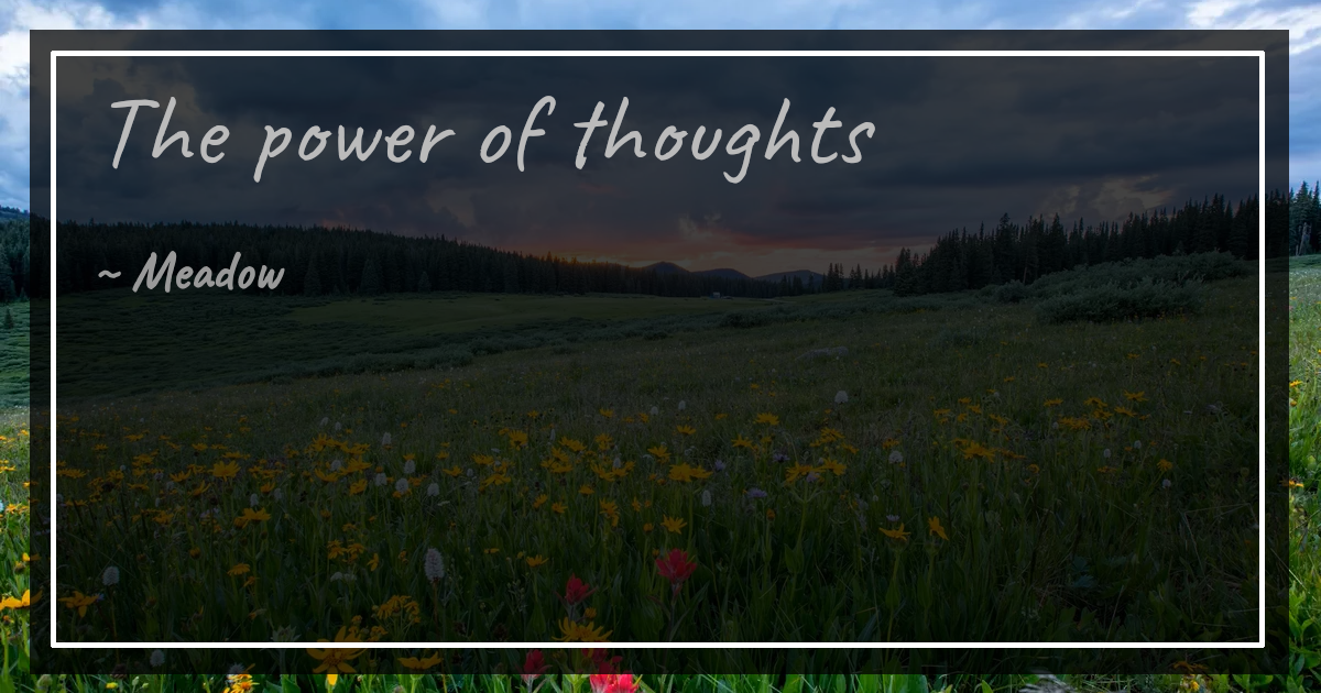The power of thoughts | Meadow